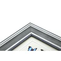 China Polystyrene Material Decorative Plastic Picture Frames 10x15 / 13x18 Size for sale