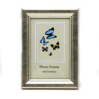China Modern Different Size Decorative Plastic Picture Frames For Home Decor for sale