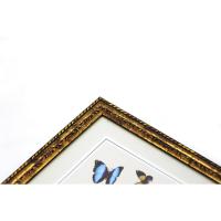 China European Style Antique Gold Picture Frames , 15 X 10 Photo Frame ODM / OEM for sale