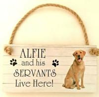 China Decorative Paintig Wooden Wall Plaques Moisture Proof Customized Size for sale