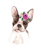 China Design Package Canvas Prints Wall Art Cute Dog , Home Decor Canvas Wall Art for sale