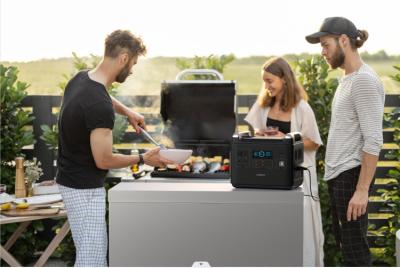 China USB-C/A  MPPT Powerstation Camping Solar Lifepo4 Power Station 1000 Watt for sale