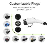 China Type 1 & Type 2 Portable EV Charger Output Voltage 110V-450V for sale