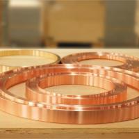 China End Ring And Rotor Bar Cu-ETP Copper Rotor Bar Essential Component for sale
