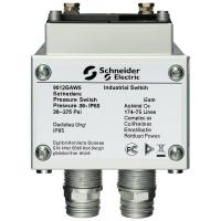 China 9012GAW5 Schneider Electric Industrial Grade Pressure Switch 30–275 Psi IP65 for sale
