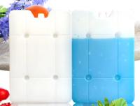 China Super Cool Freezer Ice Brick In Cooler Bags For Food Storage Frozen Food for sale
