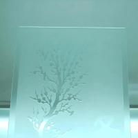China 12mm Toughened Tempered Frosted Acid Etched Glass For Shower Door for sale