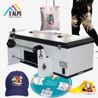 China Epson XP600 Direct to Film Printer 30cm DTF Machine for T-Shirt Printing High Productivity 1 Year Warranty for sale