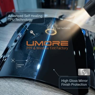 China High Gloss TPU PPF Film Roll Self Healing Paint Protection Film for sale