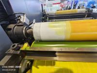 China Eco-Friendly Packaging Sleeve Type Flexo Printing Machine For Food And Healthcare Industry for sale