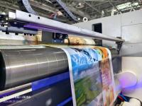 China Die Cutting Automatic Flexo Printing Machine 1200mm Length Multiple Function for sale