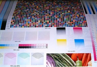 China 4 Color Corrugated Cardboard Flexo Printing Machine For Carton Box for sale