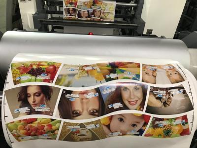 China Single Faced Printing Page Paper Cup Printing Machine 1/8cp Gearing Fengming for sale