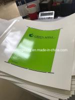 China Unit Type Structure Color BOPP Water Based Varnishing Flexo Machine for Customization for sale