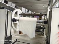 China Compact Structure Flexographic Printing Press Small Footprint Stable Working for sale