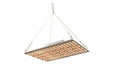 China ETL 100W Led Herb Grow Lights For Greenhouse for sale