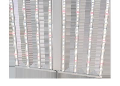 China ETL 4000lm 600 Watt LED Grow Lights For Marijuana for sale