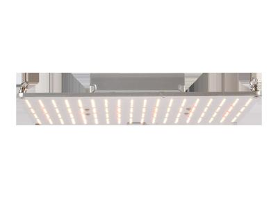 China 730nm 240x300x48mm Quantum Board Led Grow Lights for sale