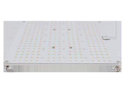 China 100W  IP67 Led Grow Boards For Indoor Garden for sale