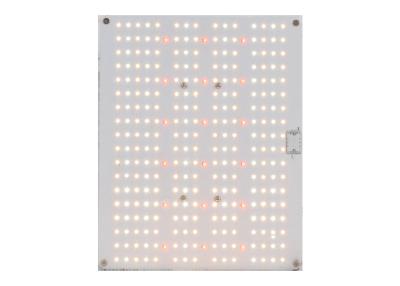 China DIY Light Kit IP67 640nm Quantum Grow Lights for sale