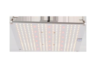 China ETL AC100V Quantum Board Led Grow Lights for sale