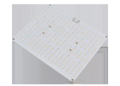 China Smart Dimming High PPFD 3500K Full Spectrum Led Lights for sale