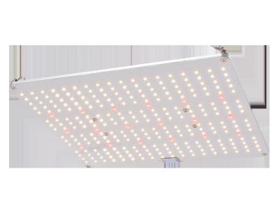 China 660nm AC 277V Full Spectrum LED Grow Lights for sale