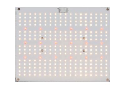 China 380nm 5000K Quantum Board Led Grow Lights for sale