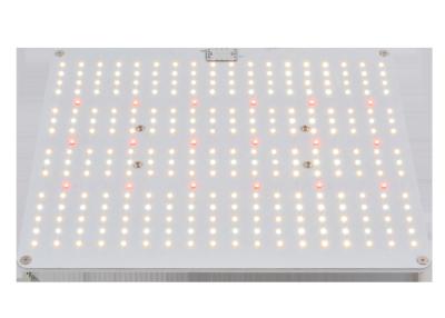 China Igrowbio 100W Full Spectrum LED Grow Lights for sale