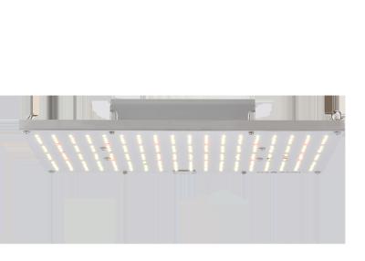 China 4000K 660nm Led Quantum Board Grow Lights for sale