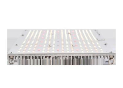 China Higher Waterproof 120W 4000K UV Light Good For Plants for sale