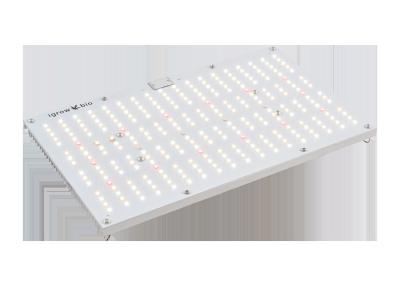 China IP65 AC85V Quantum Board Led Grow Lights for sale
