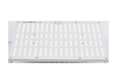 China Indoor 120W 2.5umol/J Quantum Led Grow Lights for sale