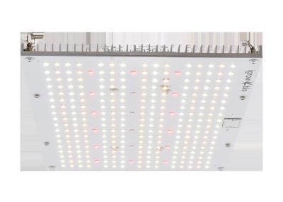 China High PPFD IP65 5000lm Quantum Grow Lights for sale