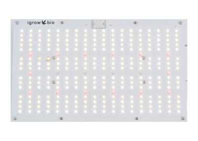 China ETL 120W High PPFD Grow Light For Commercial Cultivation for sale