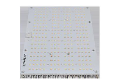 China IBoard 120 AC100V Dimmable LED Grow Lights for sale