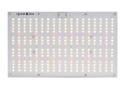 China High PPFD CE IP65 Dimmable LED Grow Lights for sale