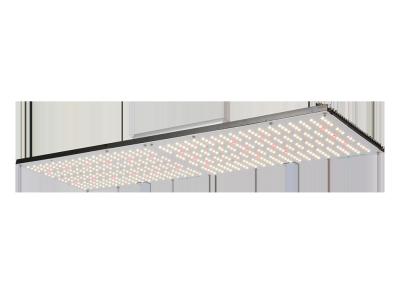 China Vertical Farming IP65 395nm Indoor Grow Lights for sale