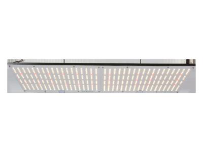 China 240W Full Spectrum LED Grow Lights for sale