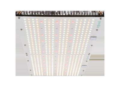 China Quantum Board 2.5umol/J 240W High PPFD Grow Light for sale