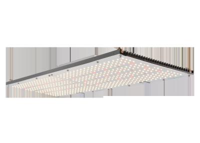 China WiFi Controlled 10000lm AC100V LED Herb Grow Light for sale
