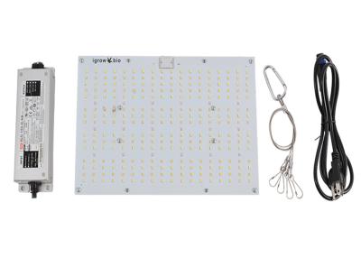 China 210lm/W 360nm Quantum Board Led Grow Light for sale