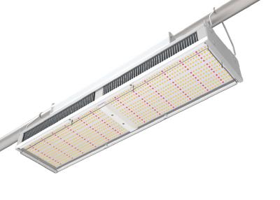 China Outdoor Greenhouse 330W IP65 Greenhouse LED Grow Lights for sale