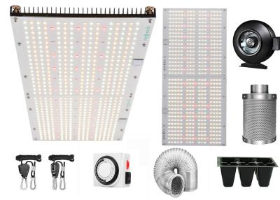 China 5000lm 3000K Quantum Led Grow Lights For Vegetative Growth for sale