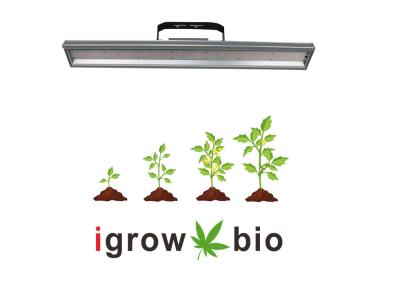 China 4000lm 300W 3500K Vegetable LED Grow Lights for sale