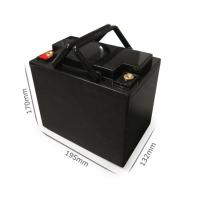 China Golf Cart LiFePO4 Battery Cell 12.8V 40AH Multipurpose With BMS for sale