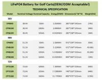 China Built in BMS 100ah 105ah 160ah Golf Cart Lithium Battery 48 Volt for sale
