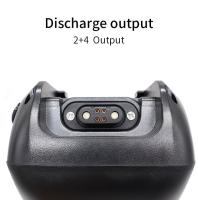 China Sea Dragon Series 18650 Lithium Battery , 36v Electric Bicycle Lithium Battery 48v for sale
