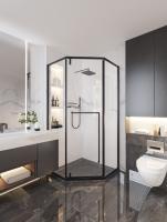 China 12x12 Inch Stainless Steel Shower Room Door with Tempered Glass and Integrated Corner Shelf for sale