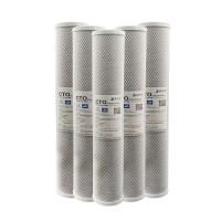 China 20-inch CTO Compressed Activated Carbon Filter for Seawater Desalination - 10-inch Length Industrial Water Purification for sale